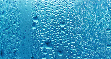 Maxx to the Moisture Rescue